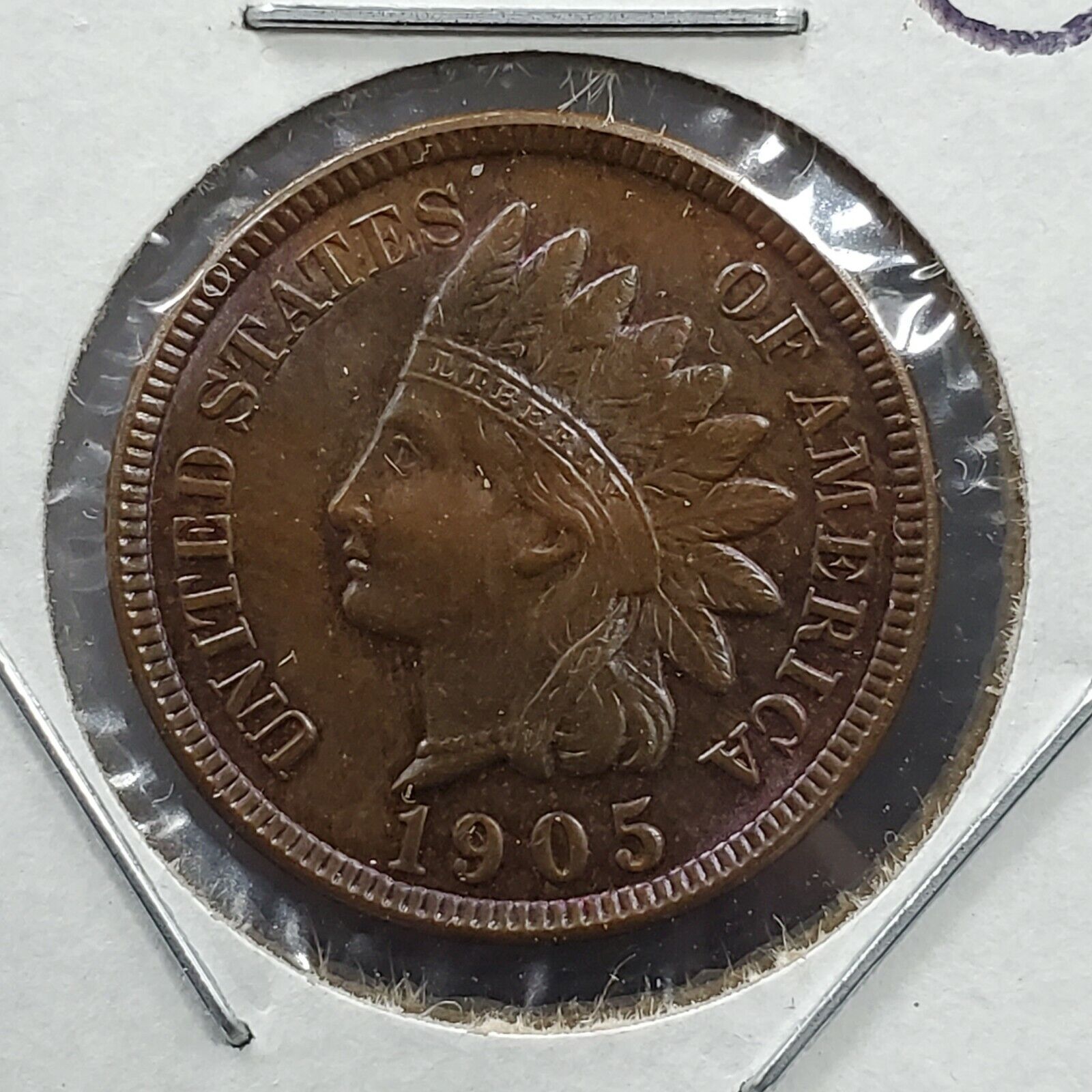 1c Indian & Flying Eagle Cents – Robinson's Coin Town